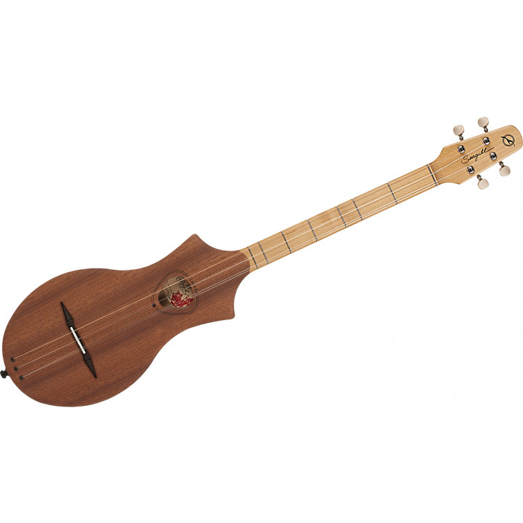 The 10 Best Seagull Guitars in 2026