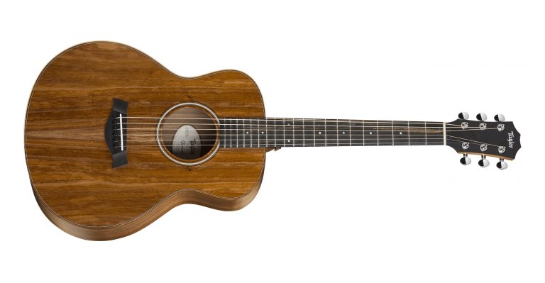 Taylor GS Mini Acoustic Guitar Review - Guitar Chords 247